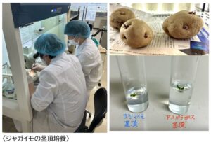 バレイショでんぷん（片栗粉)＋胃腸薬＝お汁粉味！？ | 東京新宿から4分 専門学校東京テクニカルカレッジ